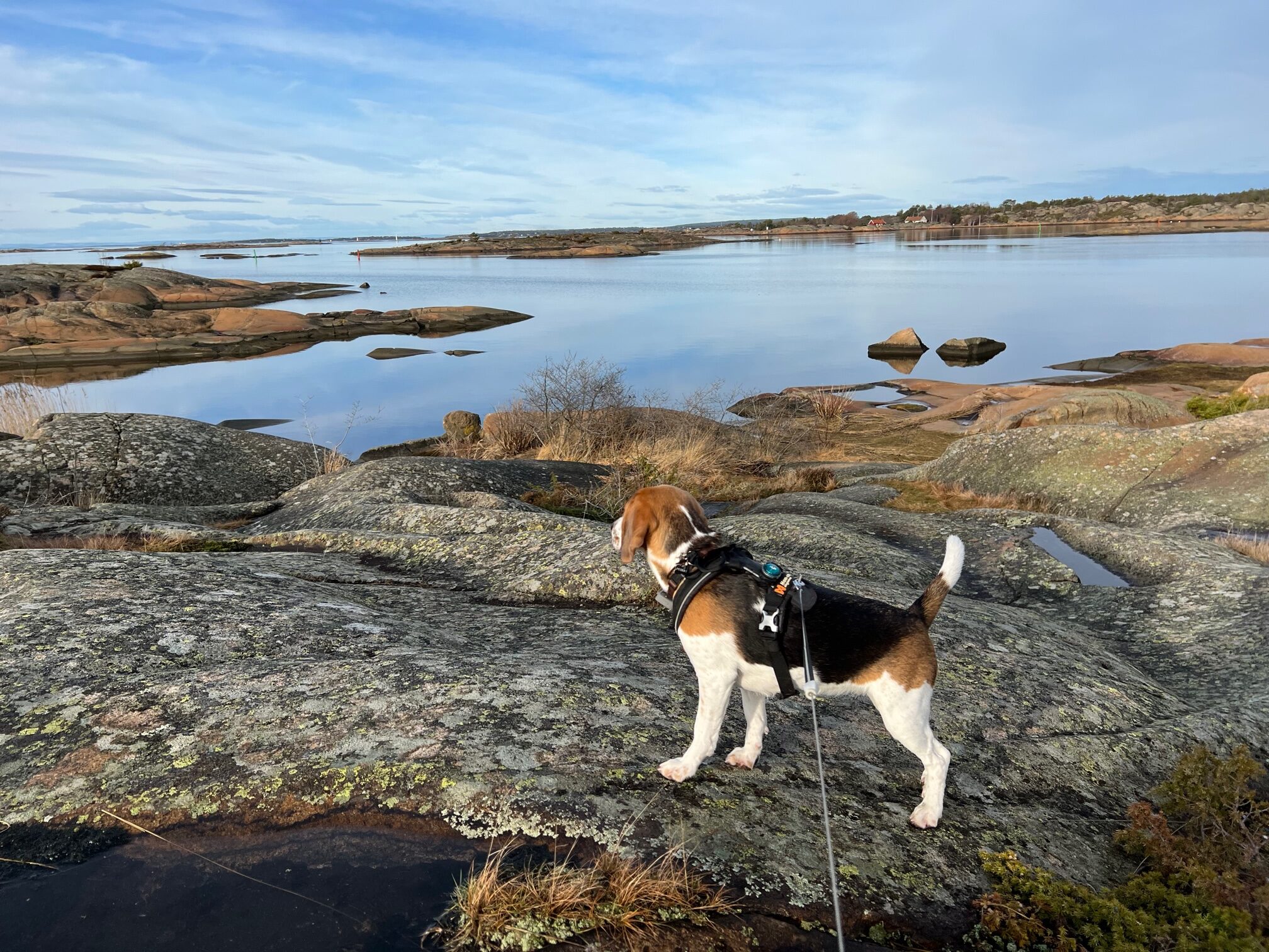 Hiking in Hvaler: A Guide to Norway’s Coastal Gem